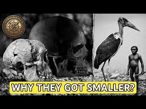 The 3-foot-tall humans that hunted dragons for 650,000 years. The Homo Floresiensis story.