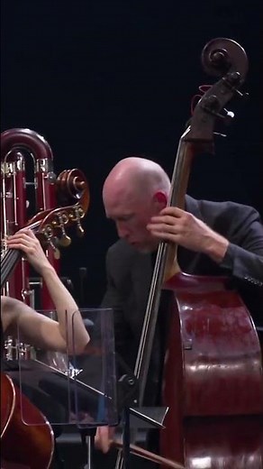 Celebrating 20 Years of the Verbier Festival Chamber Orchestra! |#verbier