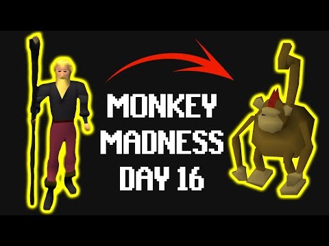 A New OSRS Player Trying Monkey Madness 1 On Old School RuneScape