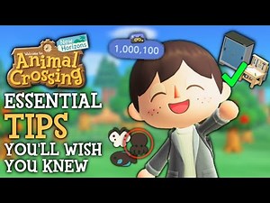 Must Know Tips I Wish I Knew Sooner - Animal Crossing?New Horizons