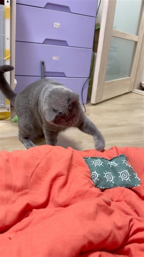 I'm practicing boxing