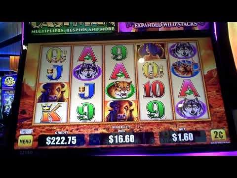 Buffalo and Friends Slot Machine NICE WIN Bonus