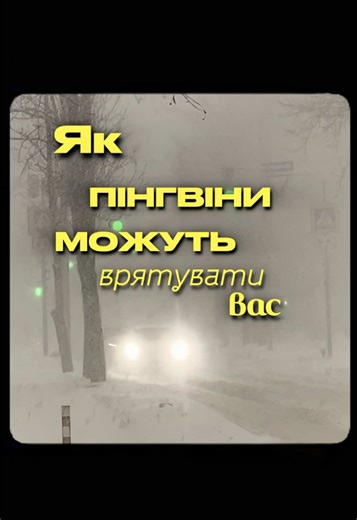 Що допомагає вам не впасти на ожеледиці? ❄️⛸️ #лід #зима #ожеледиця #пінгвіни #безпека