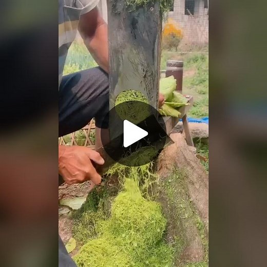 Future.Shop บน TikTok