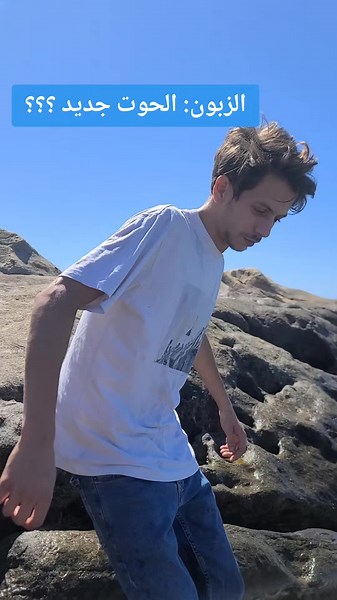 #connection #seafood #foryou #jijel #brandidentity #explore #restaurant du poisson frais tout les jour