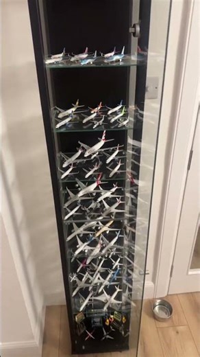 Is this the best plane?👇 #plane #planes #gift