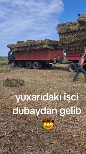 Efficient Hay Loading Techniques in Rural Fields