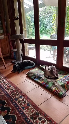 Amy's got PMP (@amymakesstuff)’s videos with original sound - Amy's got PMP