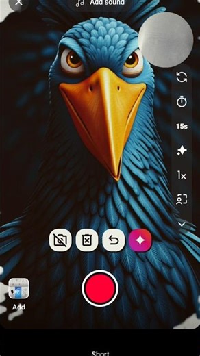 Youtube Dream Bird Effect Tutorial 🦜 #youtube #dreambirdeffect #effect #tutorial #viral #trending