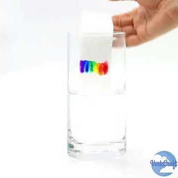 COLOUR TRANSFER EXPERIMENT- Fun activity to try with kids