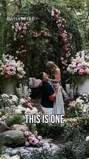 333K views · 7.1K reactions | Look what you made CBS News do | Matt Walsh | Facebook