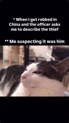 Have you been to china ?