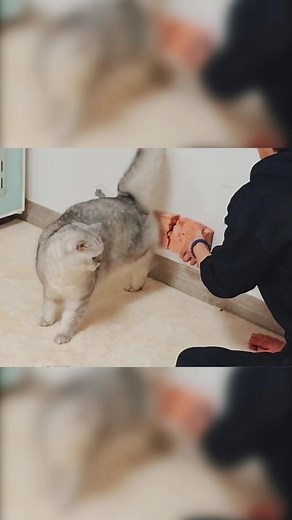 Stopmakingtrouble (@stopmakingtrouble)’s videos with original sound - Stopmakingtrouble