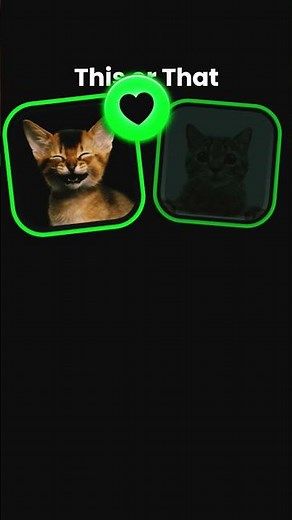 MEOW MEOW #gatos #apoyoooo #cat #gato #apoyo #memes #funny #cute #gatitos #apoyoplis