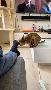 No Word Needed 😳 | Missenell