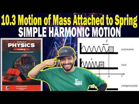 Motion of Mass Attached to Spring | SHM | Class 10th Physics New Book | Backbenchers Academy