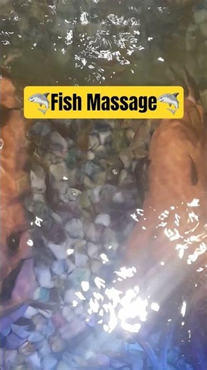 🎊🦈Fish Pedicure🎊🦈#shorts #viral #trending