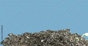 Fresh cucumber growing macro time-lapse. Closeup of germination and growth of tiny leaves. Healthy vegan food concept. Motorised panoramic movement. On blue screen. Keying alpha mask ready.