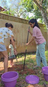 Planting fruit trees for our students of all ages to be able to eat fruit and vegetables picked by themselves at school. | Independent Collective School