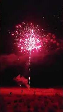 Sciatica 150s 1.4g proline fireworks cake.