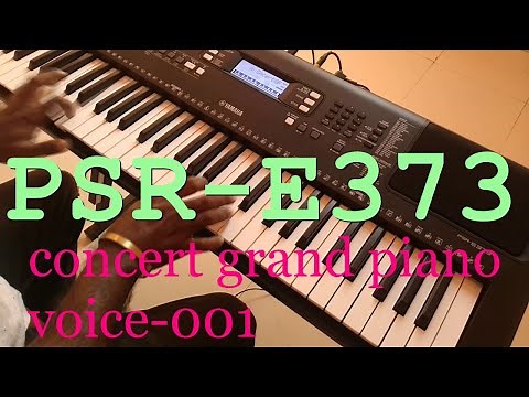 YAMAHA psr-E373 voice and style performance demo 1