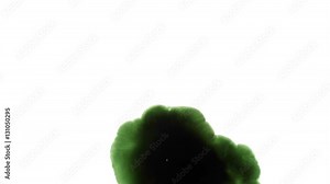 Green ink explosion on white background. Great to use as reveal texture or transition