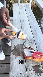 37K views · 266 reactions | Reposting because the fish insisted. | Stinky Fish Challenge - Surströmming, Swedish Sour Fish | Facebook