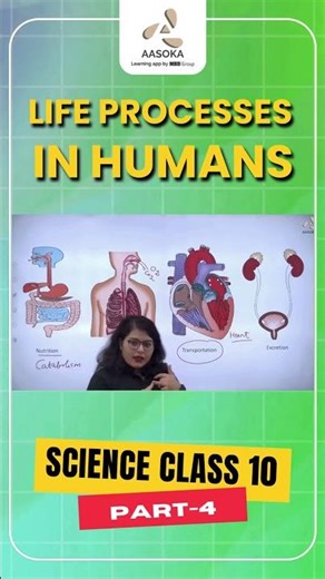 Life Processes in Humans Part-4 | Science Class 10 | CBSE | NCERT | AASOKA #Shorts