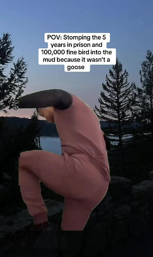 Opps… - Use code “AVERY10” for 10% off @fallenfeathers.hatco - #w#w#waterfowlw#waterfowlhunterd#duckhuntingd#duckg#gooseg#geeseh#huntingh#huntingblindp#phillrobertsond#duckhuntingh#hardcoredecoysd#divebombindustriesg#goosehuntingduckcallinggoosecalling