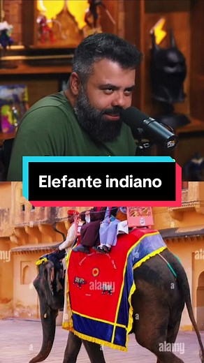 Elefante da Índia: Tamanho e Curiosidades Fascinantes