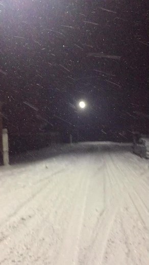Natural Snowfall at Night: A Peaceful Winter Scene