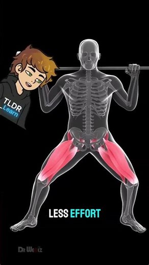 What Is Muscle Memory #explained #facts