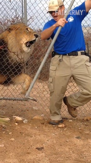 434K views · 1K reactions | 6 Funniest Animal Encounters  | FailArmy | Facebook