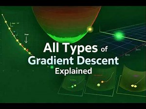 Gradient Descent Types & Optimizers: The Complete Visual Guide