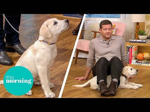 Our This Morning Dog Buddy’s Training as an Autism Assistance Dog | This Morning