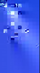 1.5M views · 3.1K reactions | A video clip from TikTok user Mylittledaisayyy captures two large monitor lizards attempting to squeeze into a drainage pipe in a canal in Bangkok. The sight has amused social media users, with some jokingly suggesting this might be the reason for clogged drains in the city. #Thailand #monitorlizard #ตัวเงินตัวทอง | Bangkok Post | Facebook