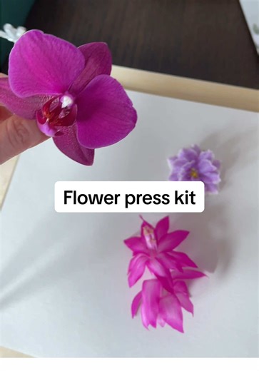 Creating Beautiful Pressed Flowers at Home