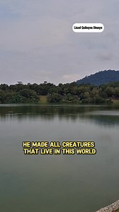 388K views · 7.8K reactions | In The Beginning With Lyrics Ctto Song by: Victor Wood Cover by: Aljun Cayawan  No Copyright Infringement Intended♡ I Do Not Own The Music In This Video. All Rights belong to the owner|music writer|composer. #oldsongs #lovesong #lyricsvideo #kualalumpur #song #coverversion | Liezel Quibuyen Dimaya | Facebook