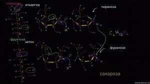 Молекулярная структура фруктозы