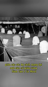 1.6M views · 10K reactions | Chiến thuật này hơi bị đỉnh  #lichsuvietnam #anhhungdantocvietnam #vietnamhistory | Tổ Quốc trong tôi | Facebook