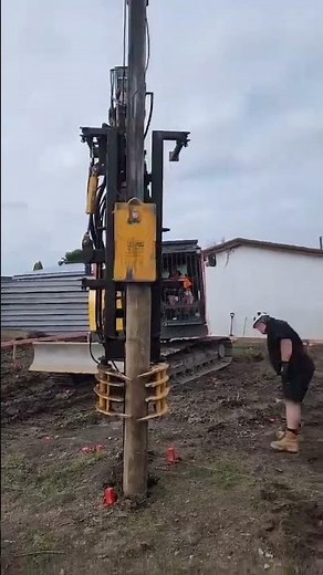 Driven Timber Piles