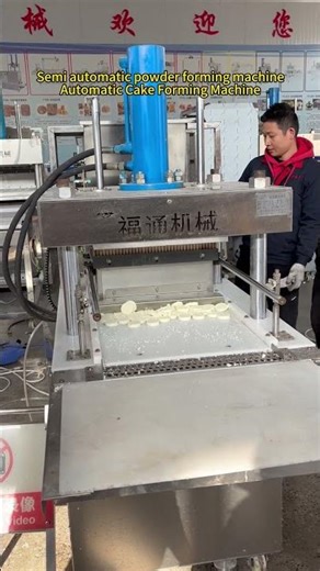Automatic powder forming machine/Automatic Cake Forming Machine