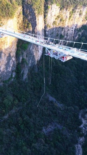 #Bungee jumping #Zhangjiajie Grand Canyon Glass Bridge bungee jumping#e05a3