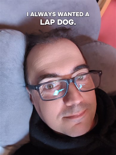 We went to get a lap dog… Somehow we ended up with this. Not exactly built for laps, but 100% built for loyalty, chaos, and unconditional love. Wouldn’t change it for the world. #NotALapDog #DogLife #DogLovers #BigDogEnergy #DogHumor