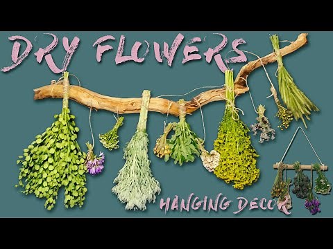 How to make a DIY Driftwood Dried Flower Hanging Rack | Boho Decor