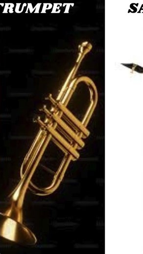 TOP 10 INSTRUMENT IN THE WOLD