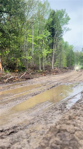 18K views · 51 reactions | Muddy puddles? More like playgrounds. The 2025 Honda Transalp handles the dirty work with ease this summer! Learn more: https://powersports.honda.ca/en/adventure/models/?trim=transalp_13420 #HondaMotorcycles #Transalp | Honda Motorcycles Canada | Facebook