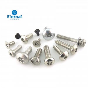 [Hot Item] Anti-Theft Fastener OEM Supplier safety Screw Tamper Proof Screws