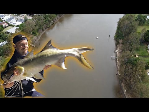 Three different methods for catching THREADFIN SALMON