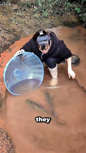 Catching Fish Bare-Handed From The Net #fishing #hack